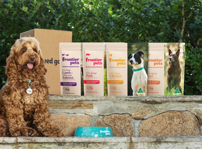 Frontier Pets | Website Redesign – 30acres