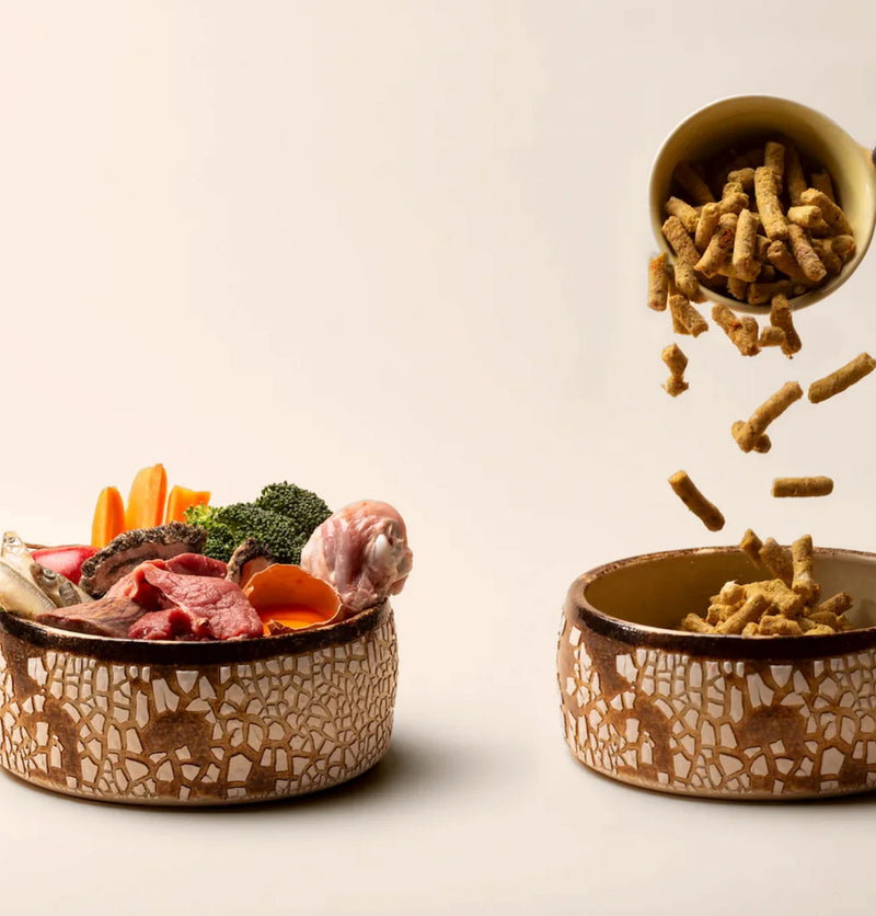 Frontier Pets | Website Redesign – 30 acres